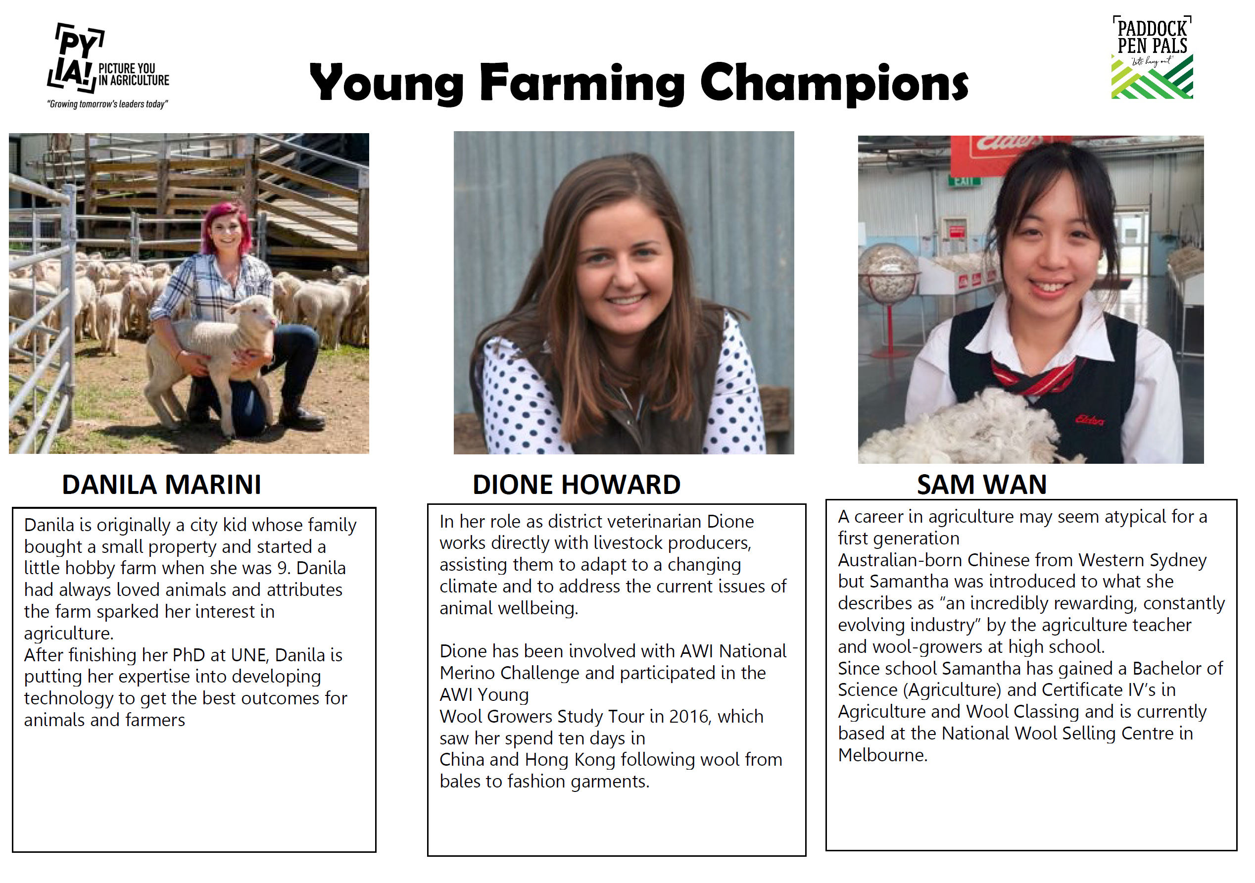 Paddock Pen Pals 2 – Clover Hill Diaries – Join Me and Be the Change