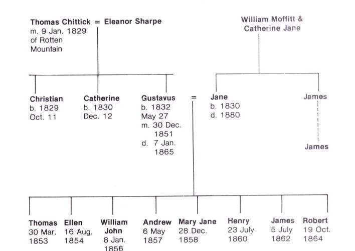 Chittick Geneology – Clover Hill Diaries – Join Me and Be the Change